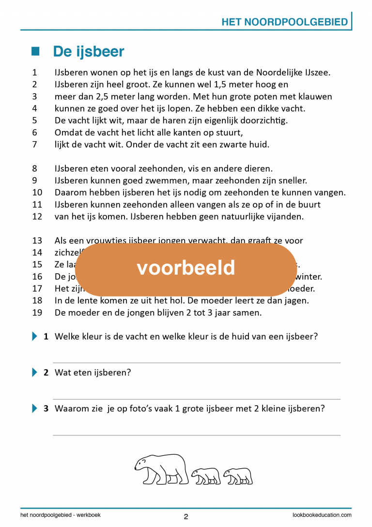 Werkblad Begrijpend Lezen IJsbeer - Lookbook Education Basisschool