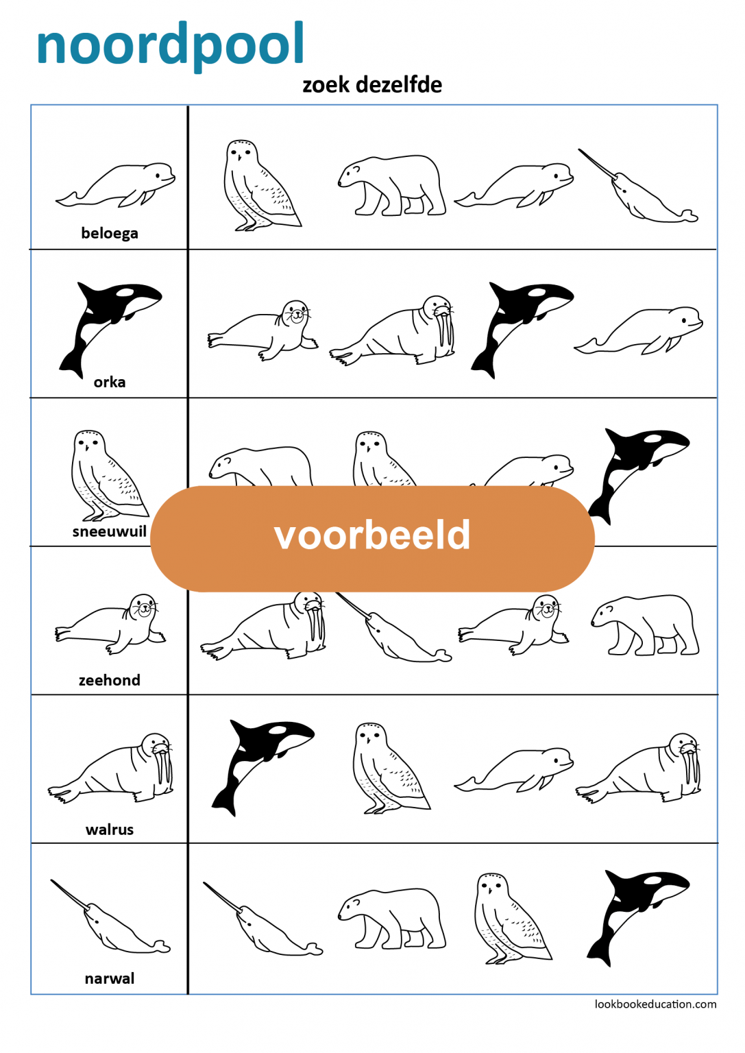 Werkblad Noordpool Zoek Dezelfde - LookbookEducation.com/nl