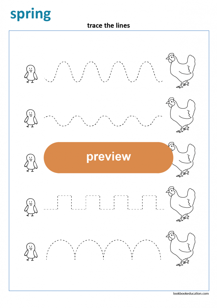Worksheet Tracing Chicken - Lookbook Education