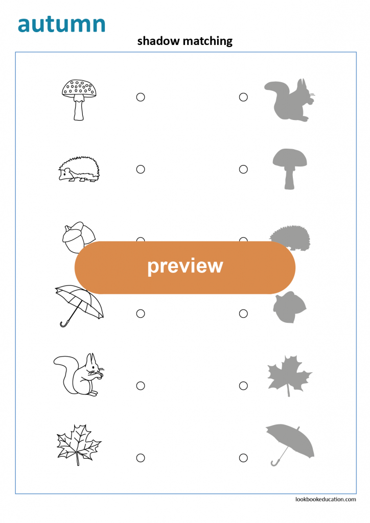 Worksheet Shadow Matching Autumn - LookbookEducation.com