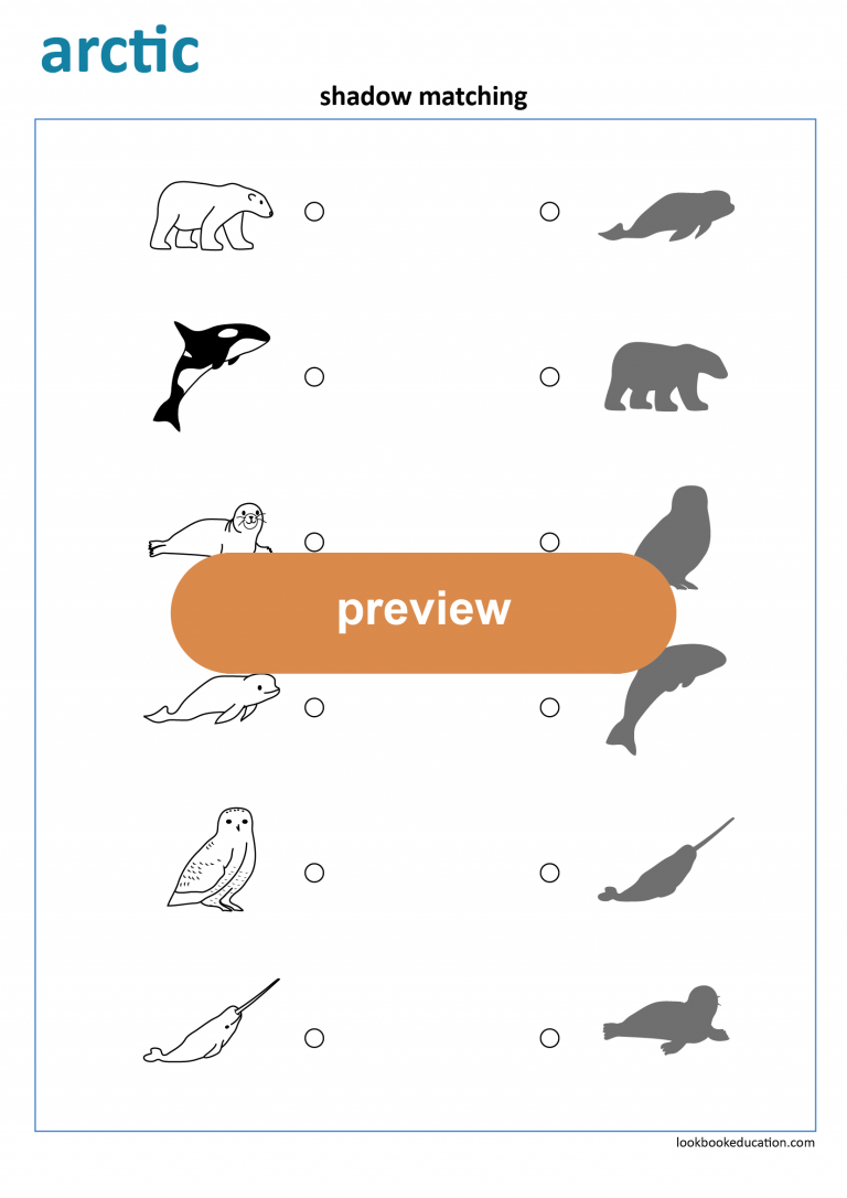 Worksheet Shadow Matching Arctic - LookbookEducation.com