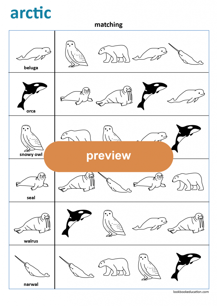 Worksheet Matching Arctic - LookbookEducation.com
